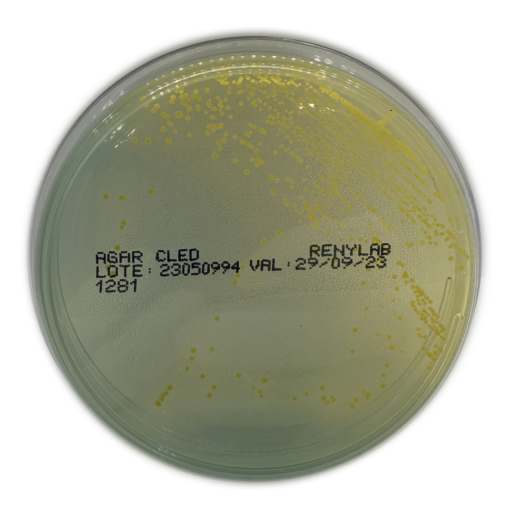 Ágar Cled - Renylab