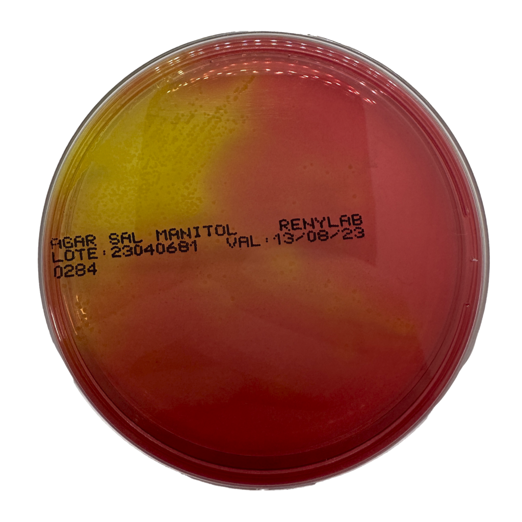 Ágar Sal Manitol - Renylab